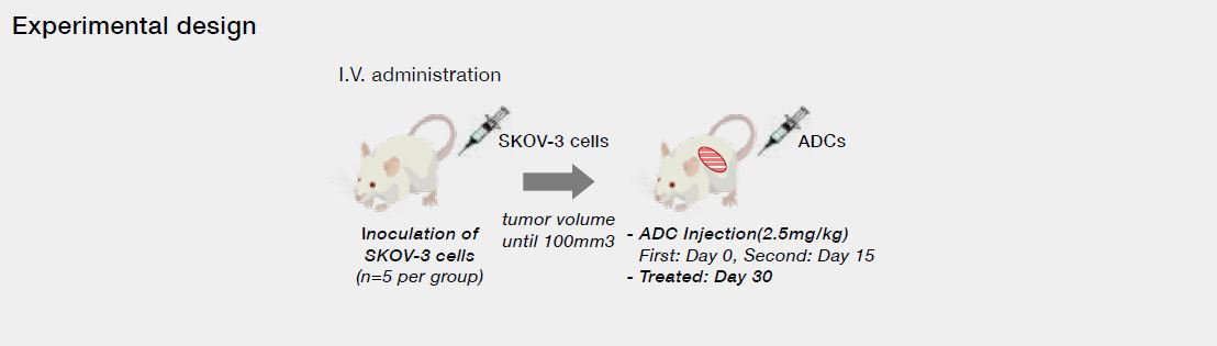 Drug Delivery Products :: Activated PEG for PEGylation :: For ADC and Linker :: Cleavable ...